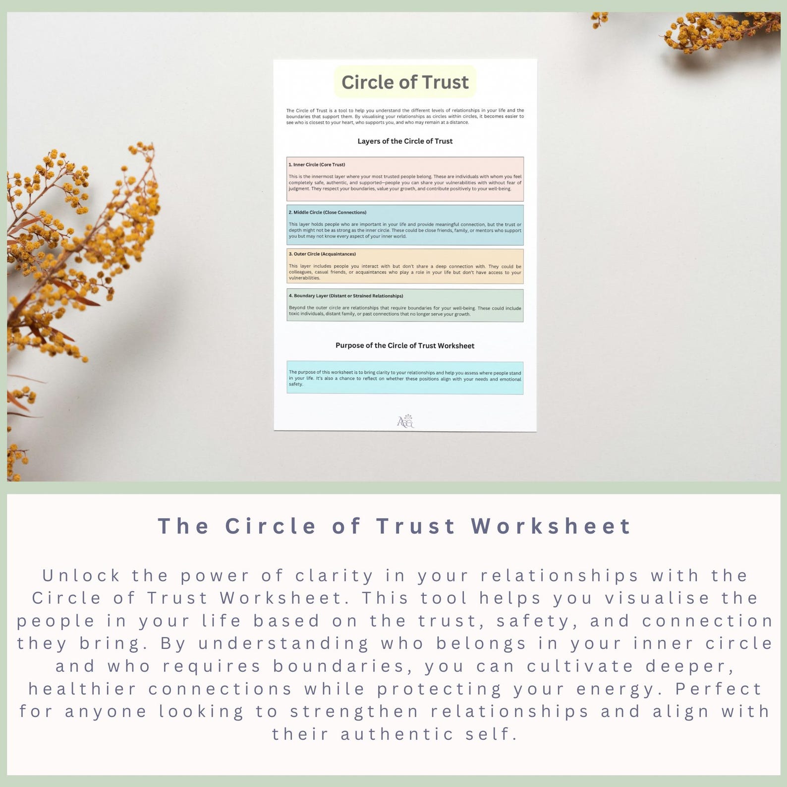 Circle of Trust Worksheet: Relationship Boundaries & Personal Growth ...