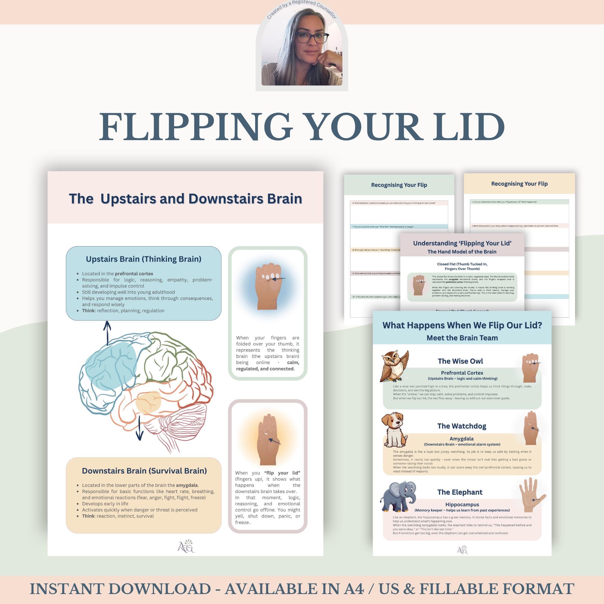 Flipping Your Lid Brain Based Emotional Awareness Counselling Resource ...