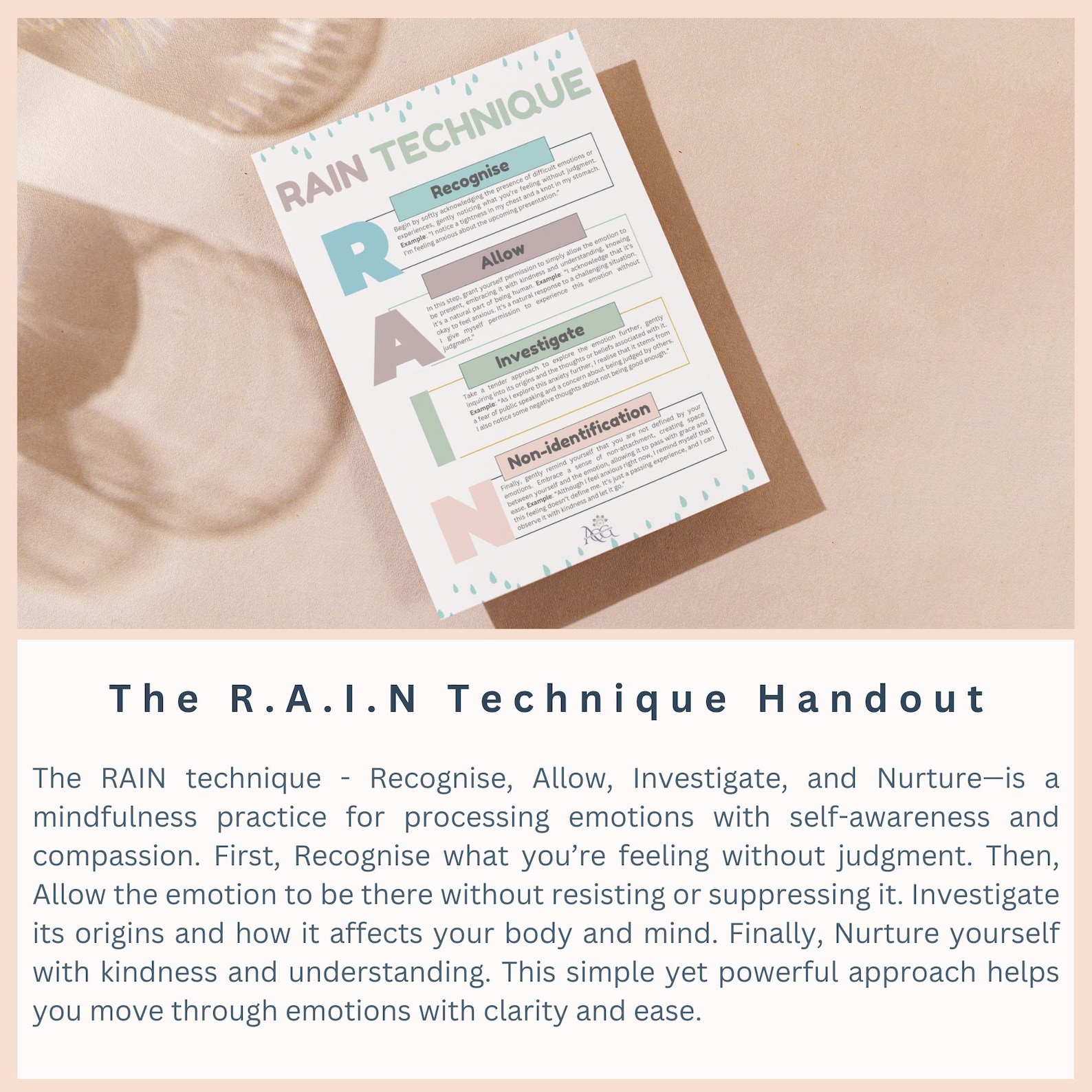 RAIN Technique Cheat Sheet: Mindfulness & Emotional Awareness (PDF) - Etsy