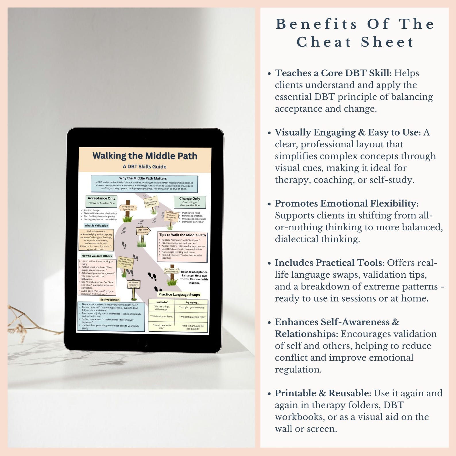 DBT Middle Path Handout Poster – Coping Skills, Mental Health Tool (PDF ...