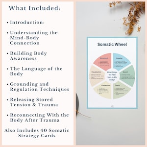 Somatic Healing Workbook for Trauma Recovery: Counselling Resources ...