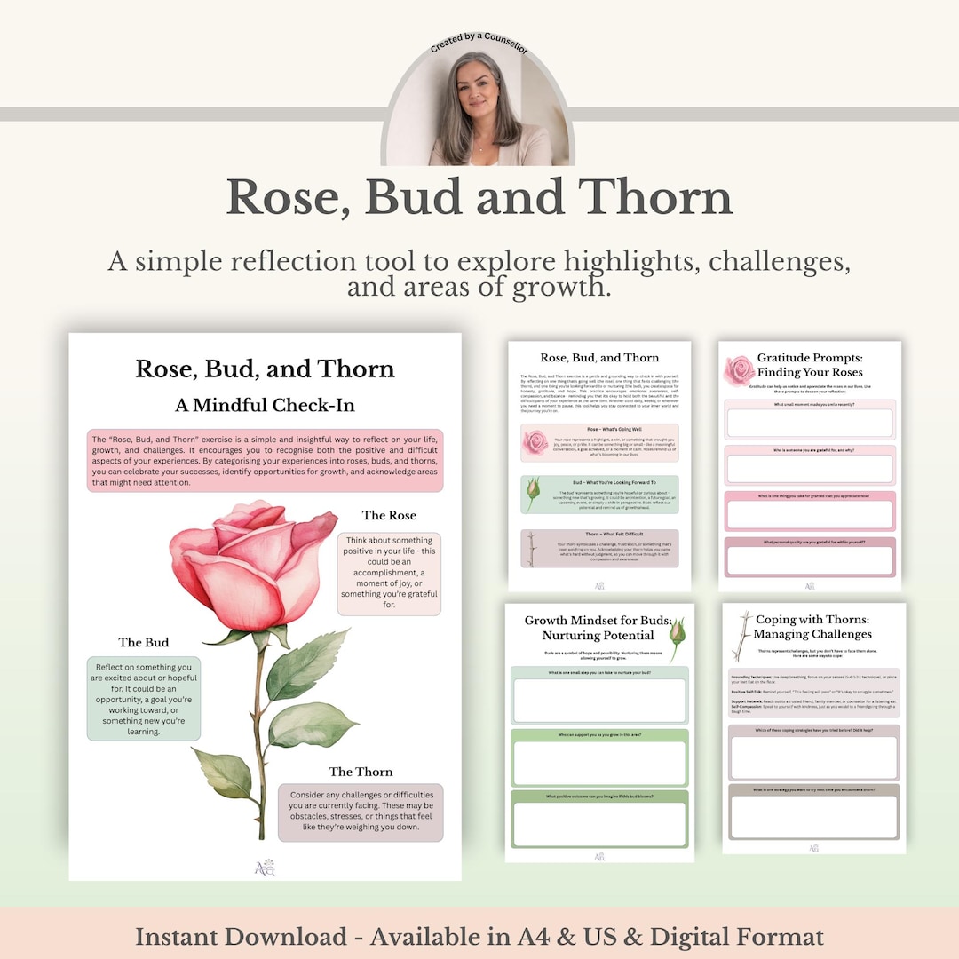 Rose Bud Thorn Worksheet, Daily Reflection & Emotional Awareness ...