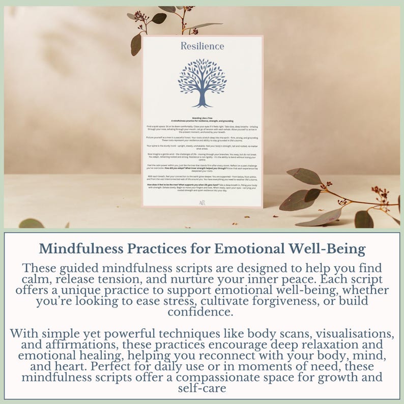 Mindful Meditation Visualisation Scripts, Guided Relaxation Emotional ...
