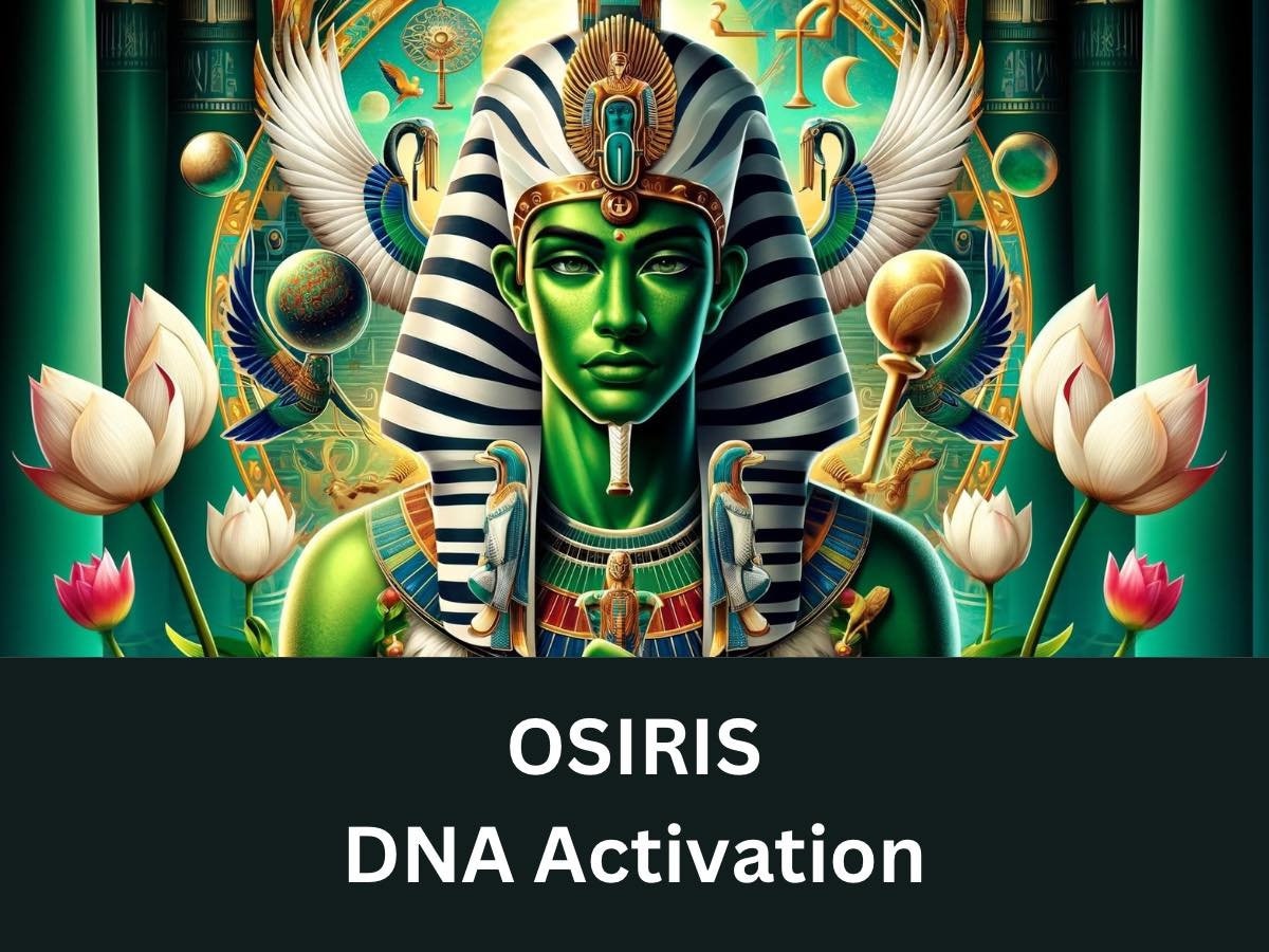 Osiris DNA Activation - Etsy