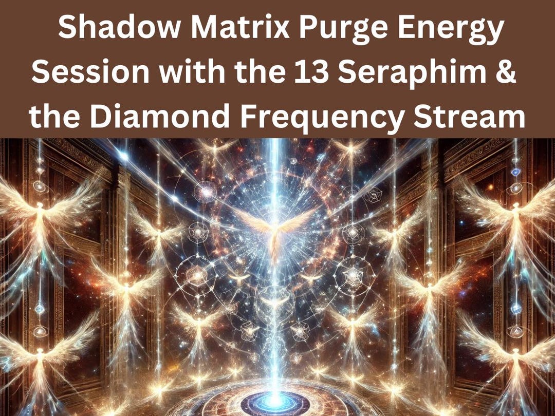 Shadow Matrix Purge Energy Session - Etsy