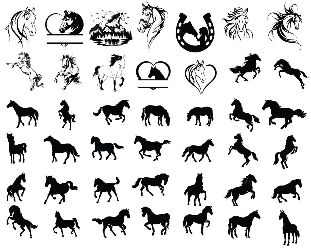Horse Svg, Equestrian Svg, Horse Png, Rodeo Svg, Horses Svg, Horse ...