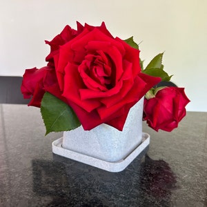Indoor Bespoke Plant Pot - Etsy