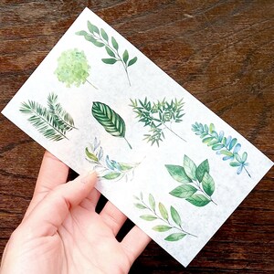 6 Sheets Tropical Leaves Stickers. Green Leaf Plant Sticker Set, Palm ...