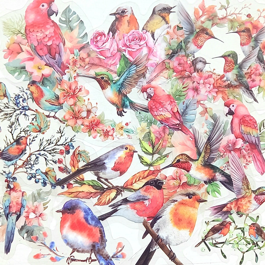 15 Large Garden Bird Stickers, Red Mixed Birds, Robbins, Parrots ...