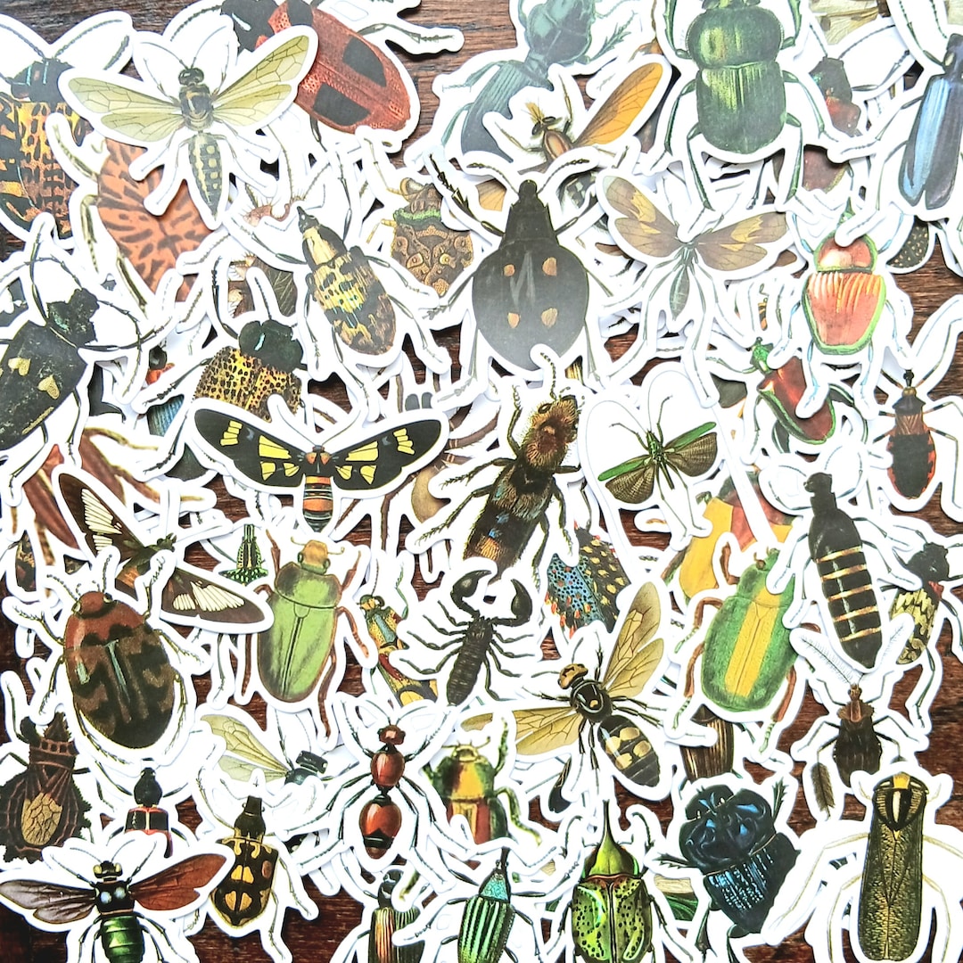 20 Insect Stickers. Wildlife Bug Sticker Pack for Kindle, Laptop Decor ...