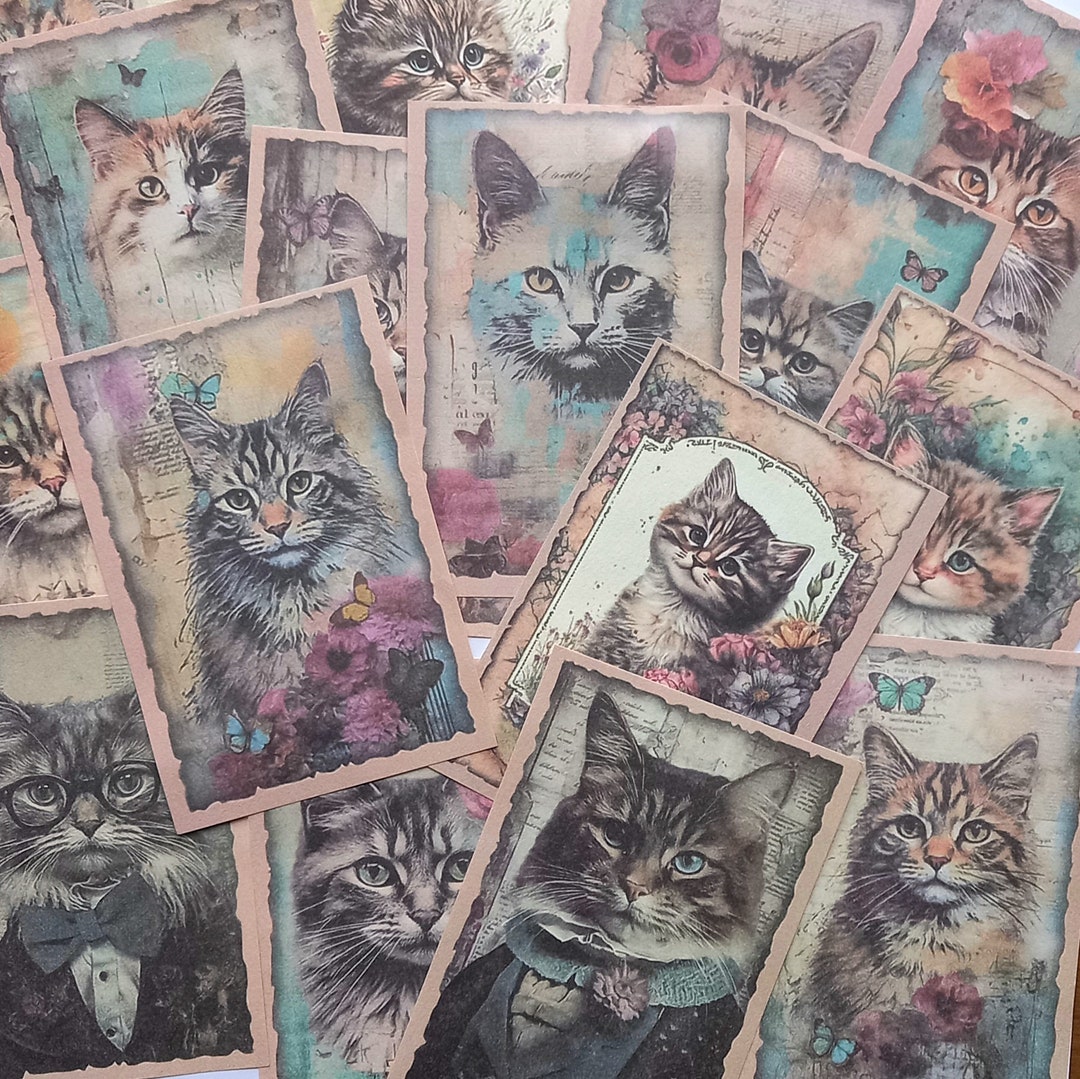 15 Vintage Cats Craft Papers, Boho Floral Cat Scrapbooking Paper Bundle ...