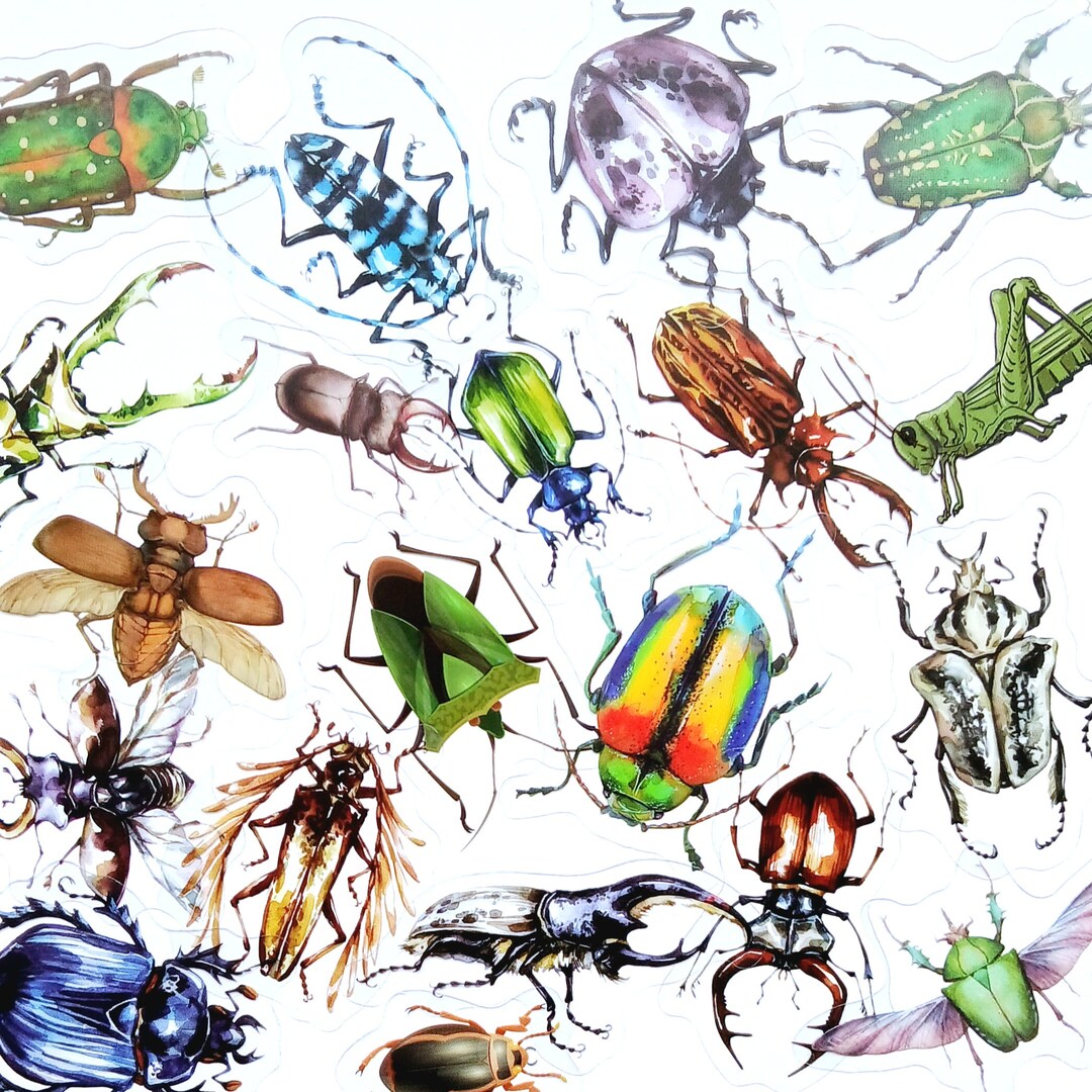 20 Insect Stickers. Clear Cello Bug Stickers,beetle Wildlife Pack for ...
