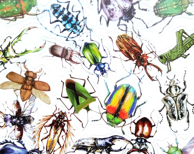 Bug Buddies Sticker Sheet | Cute Insects Stickers | Beetle, Snail ...