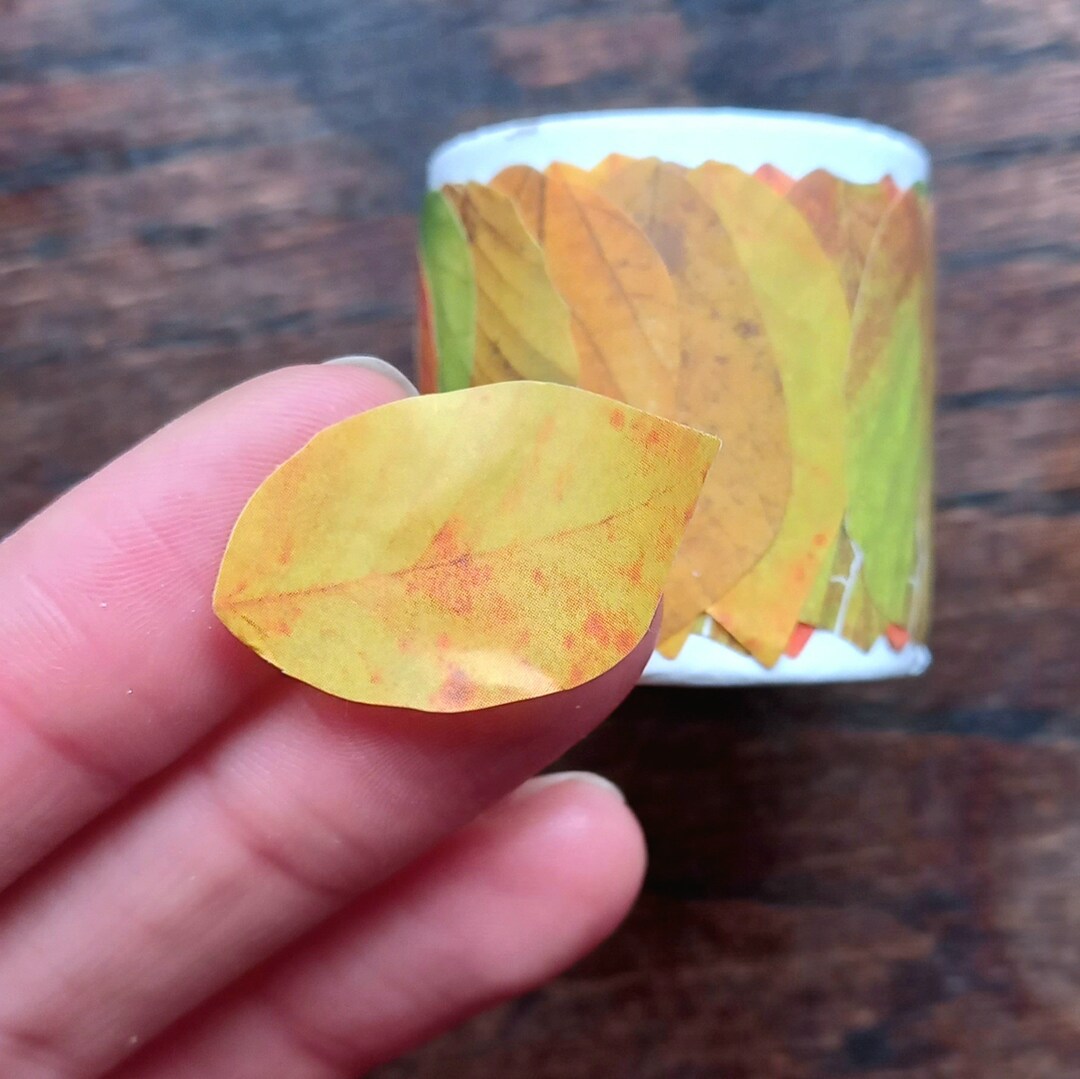 50 Fall Leaf Stickers Roll: Autumn Scrapbooking, Journaling Set - Etsy