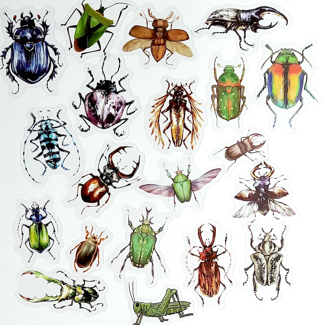 20 X Insect Stickers. Clear Bug Beetle Moth Grasshopper Craft Sticker ...