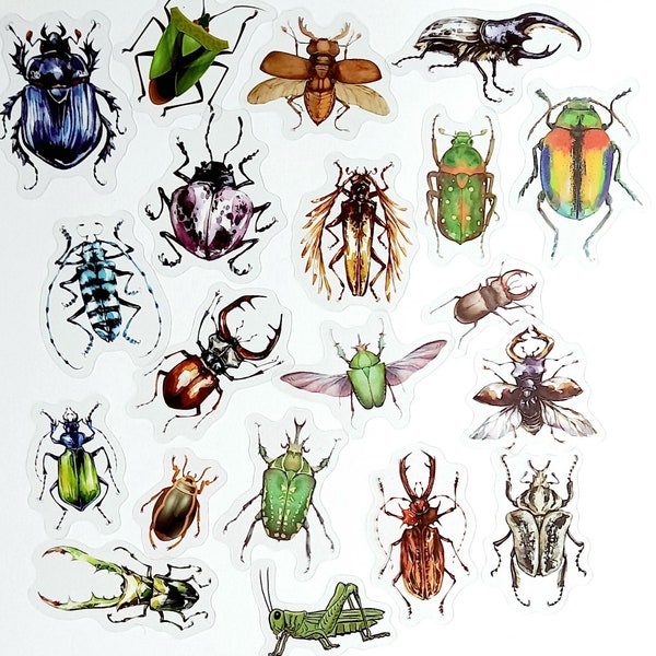 Insect Stickers - Etsy