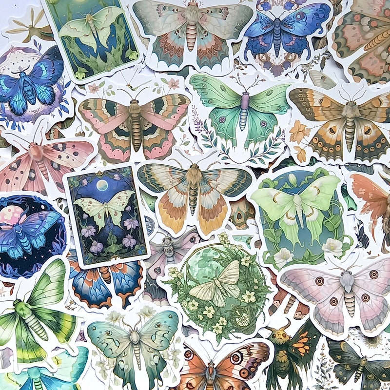 Moth Laptop Sticker - Etsy