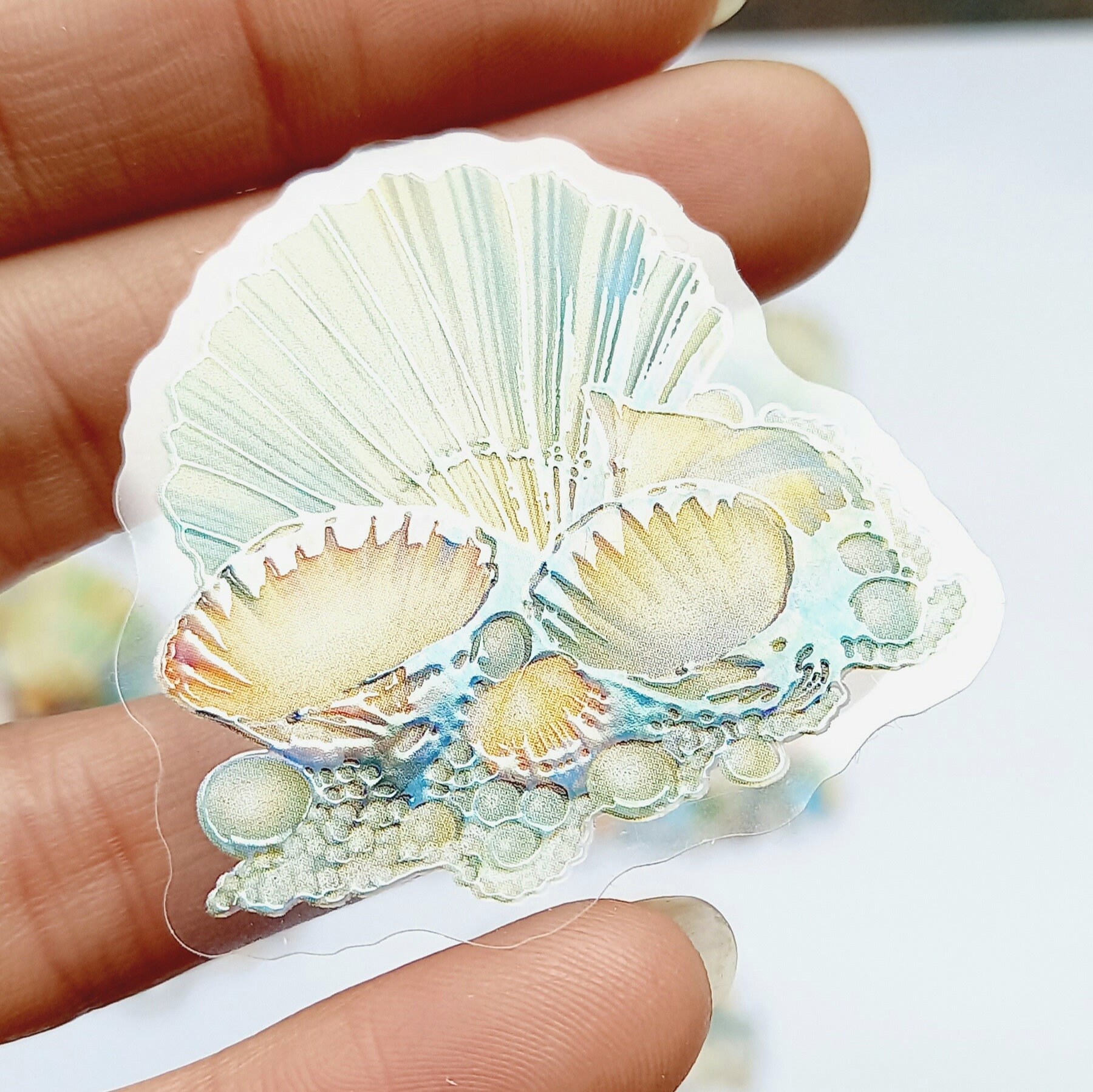 10 Shell & Pearl Stickers. Mermaid Ocean Style Clear Stickers With ...