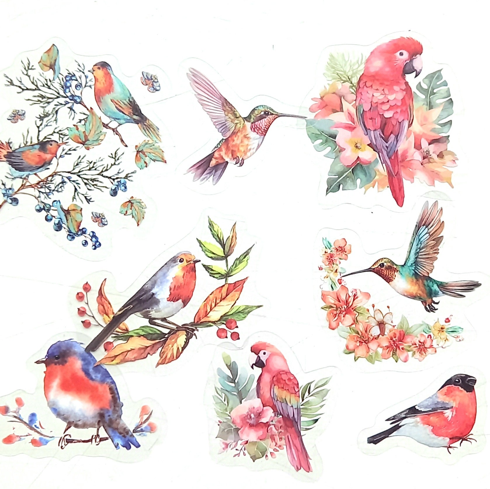 15 Large Garden Bird Stickers, Red Mixed Birds, Robbins, Parrots ...