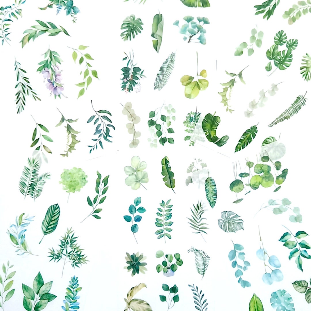 6 Sheets Tropical Leaves Stickers. Green Leaf Plant Sticker Set, Palm ...