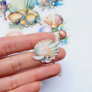 10 Shell & Pearl Stickers. Mermaid Ocean Style Clear Stickers With ...