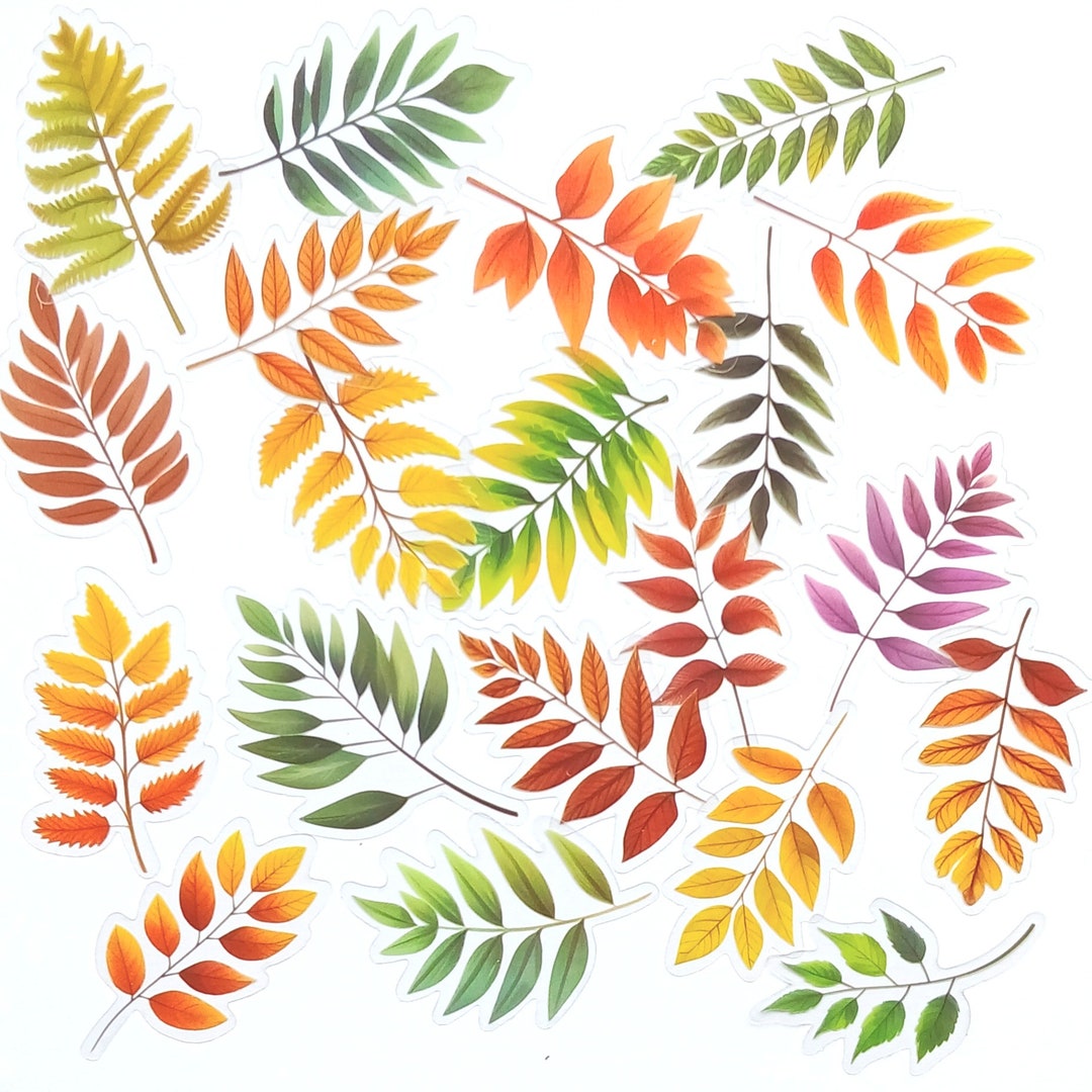 20 Leaf Stickers. Plant Leaves Craft Sticker Pack. Autumnal Green ...