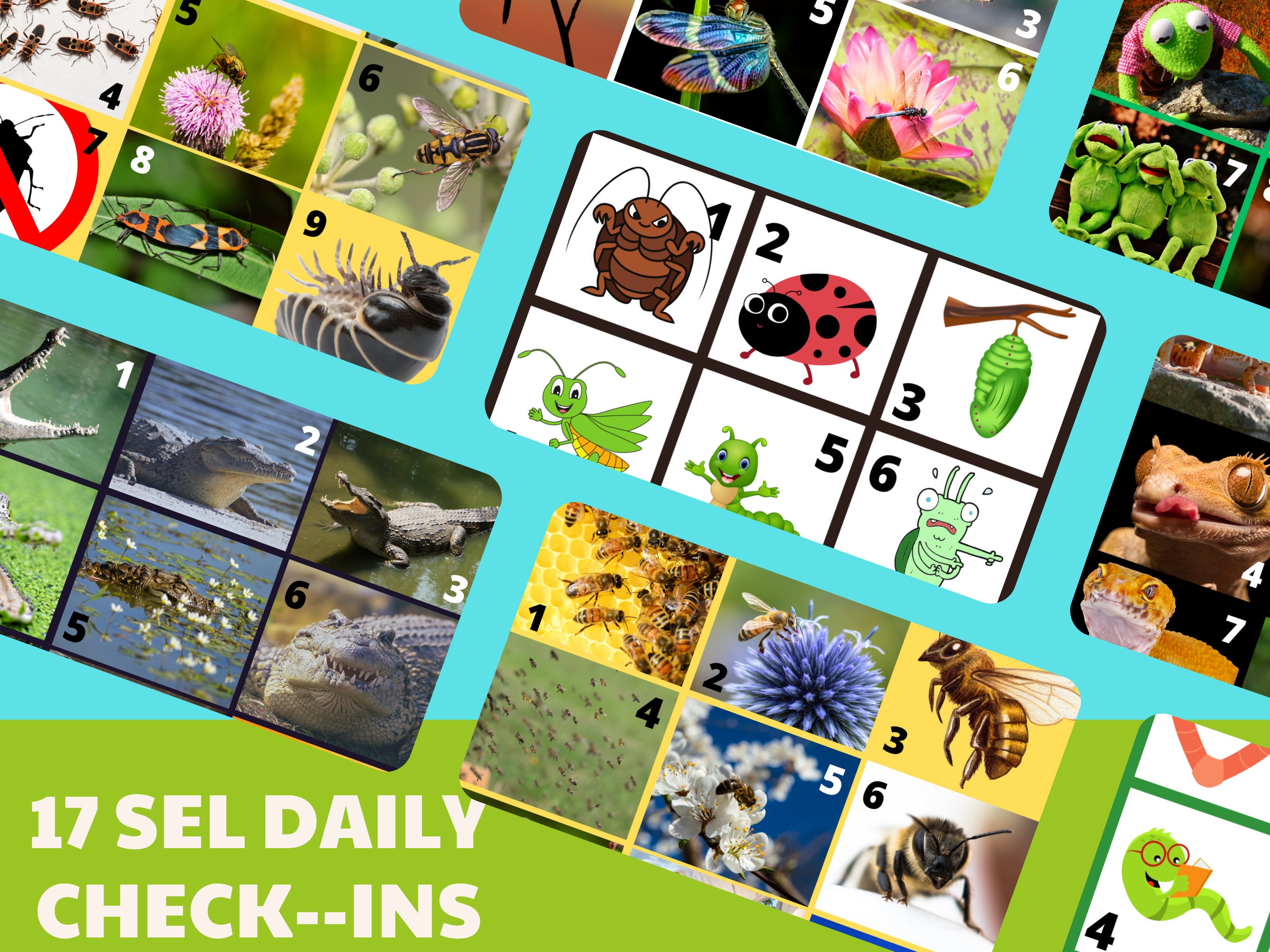 Reptiles, Amphibians, & Bugs How Are You Feeling Scales, SEL Emotion ...