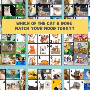 Mood Meter SEL Check-ins: Cats and Dogs Social Emotional - Etsy