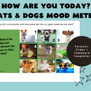 Mood Meter SEL Check-ins: Cats and Dogs Social Emotional - Etsy