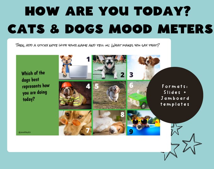 Mood Meter SEL Check-ins: Cats and Dogs! Social Emotional Learning ...