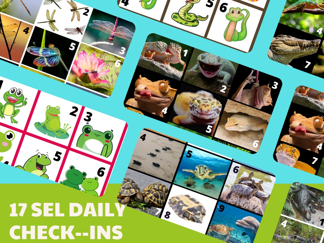 Reptiles, Amphibians, & Bugs How Are You Feeling Scales, SEL Emotion ...