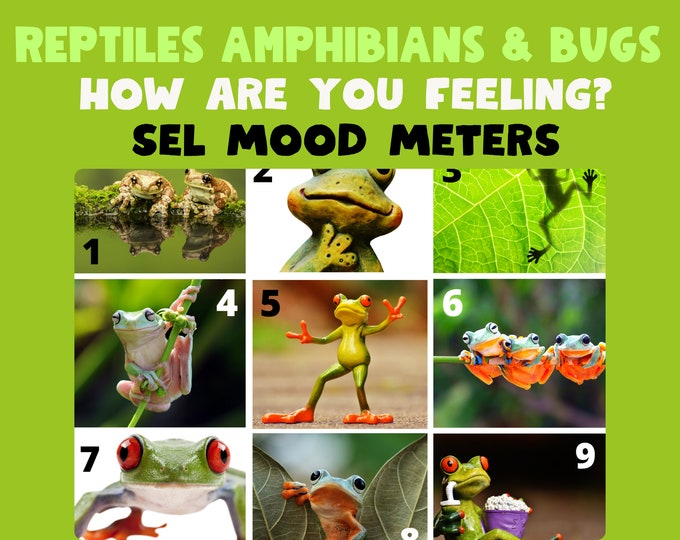 Reptiles, Amphibians, & Bugs How Are You Feeling? Scales, SEL Emotion ...