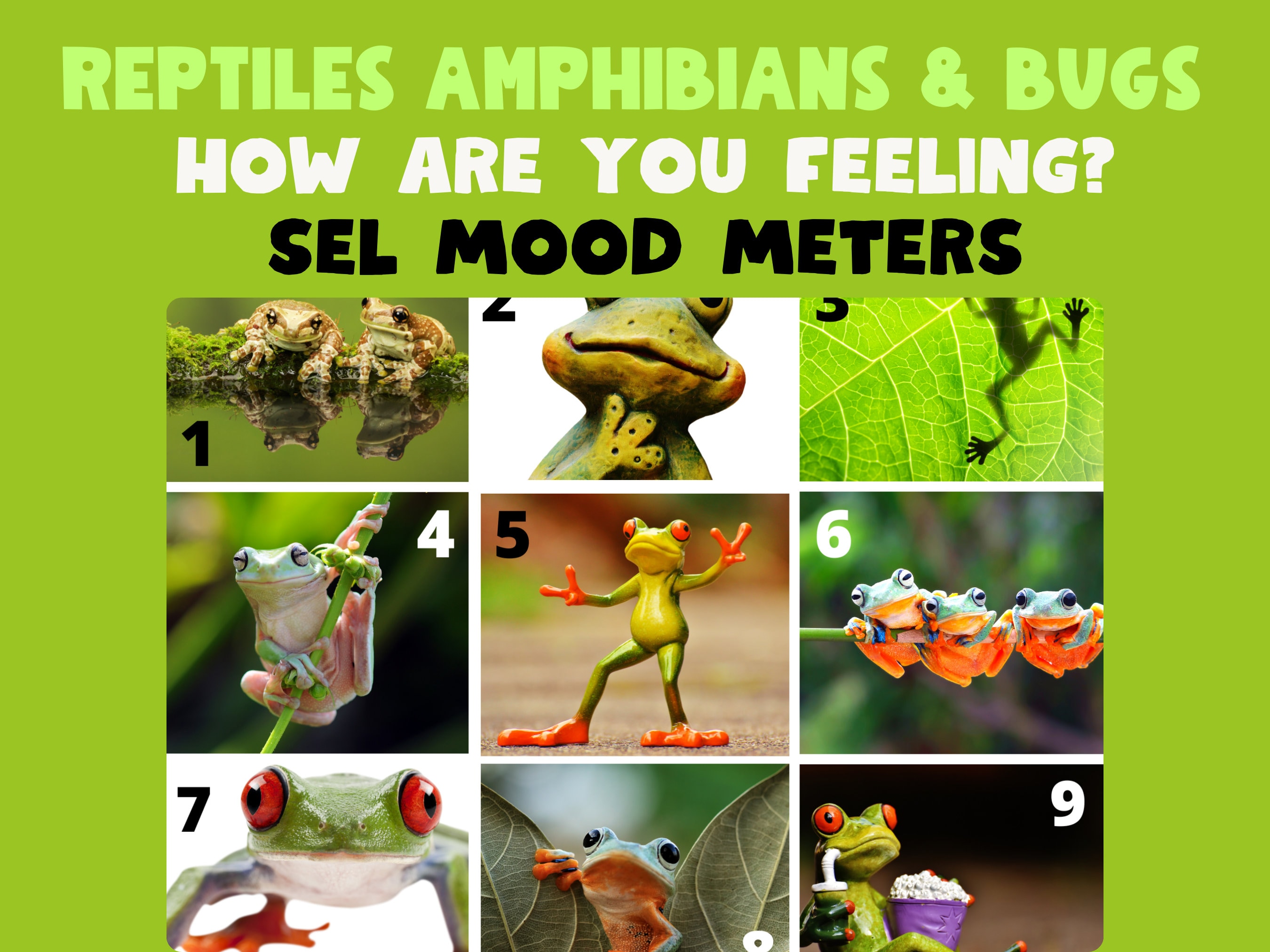 Reptiles, Amphibians, & Bugs How Are You Feeling Scales, SEL Emotion Check-ins - Etsy