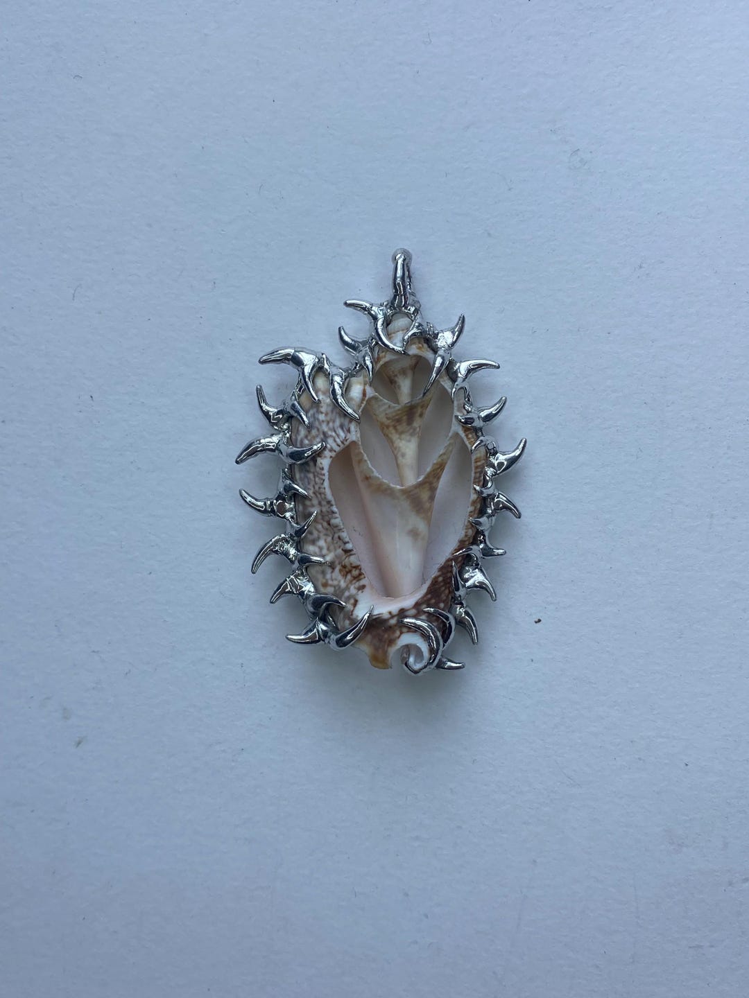 Spiky Shell Slice Necklace Soft Solder 2bfrankdesign - Etsy