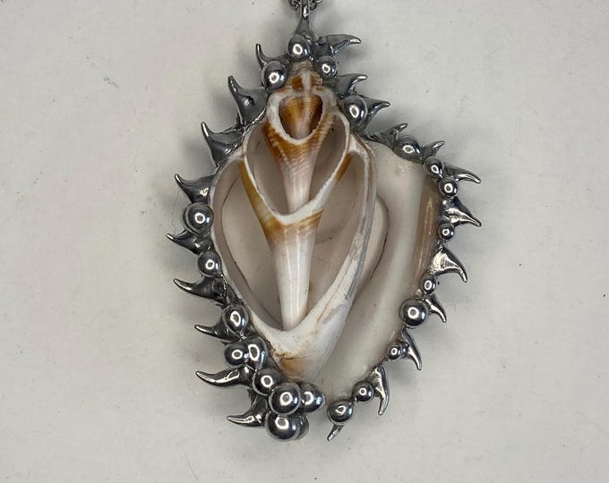 Spiky Shell Slice Necklace Soft Solder 2bfrankdesign - Etsy