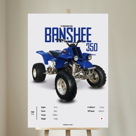Banshee Background