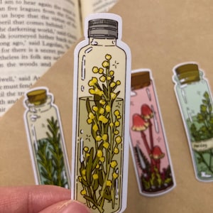 Aesthetic Plant Sticker Pack | 4pc Herb Sticker Pack | Witchcore ...