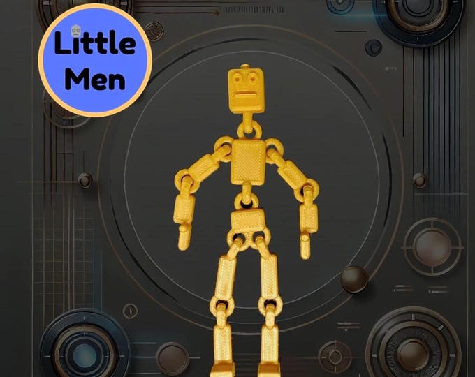 Articulated Exclusive Robot 3D Printed Ragdoll Flexi Toy for ADHD ...