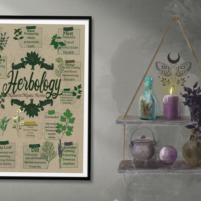 Herb Poster - Etsy