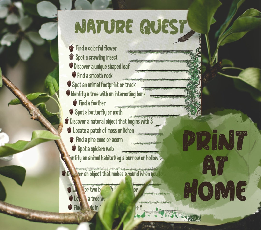Nature Quest Activity Sheet Download Nature Trail Scavenger Hunt ...