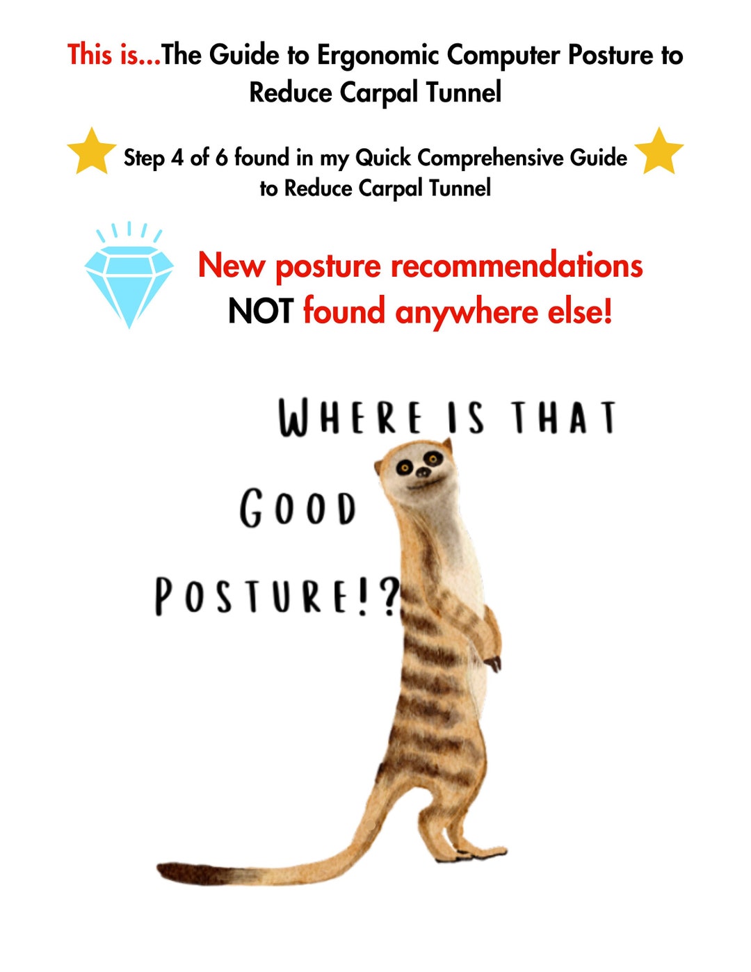 NEW Concepts - Guide to Computer Ergonomics - Posturing to Reduce ...