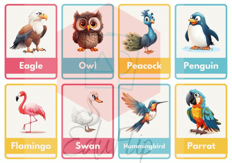 24 Birds Printable Flashcards for Kids - Etsy