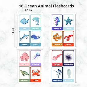 Colorful Farm and Ocean Animals Flashcards, Educational Flashcards: 33 ...
