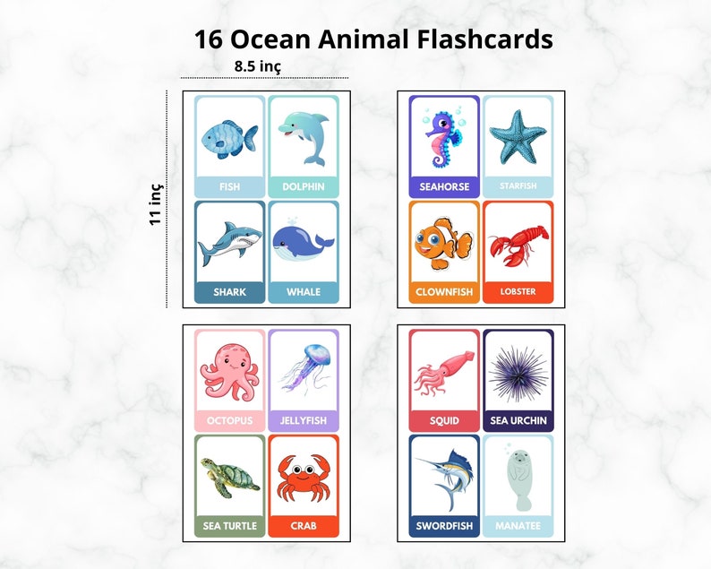 Colorful Farm and Ocean Animals Flashcards, Educational Flashcards: 33 ...