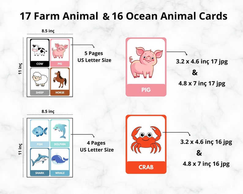 Colorful Farm and Ocean Animals Flashcards, Educational Flashcards: 33 ...