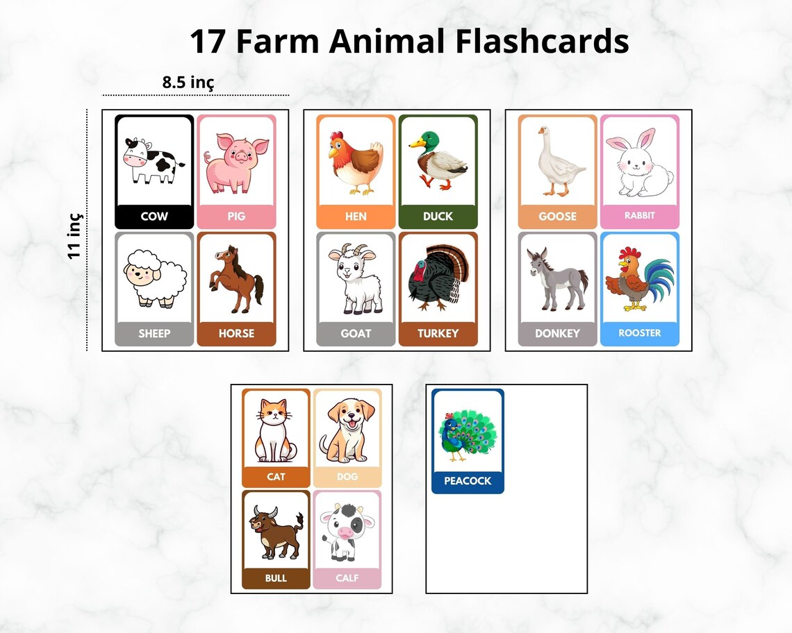 Colorful Farm and Ocean Animals Flashcards, Educational Flashcards: 33 ...