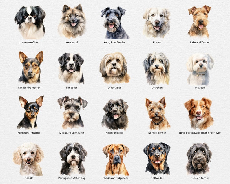 Dogs Clipart Bundle, 100 Dog Breeds, Pet Watercolor Portrait, Cute ...