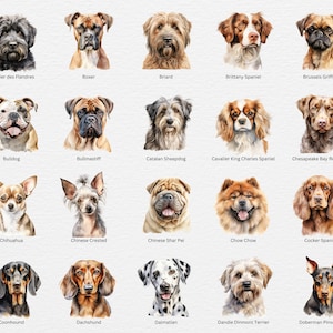 Dogs Clipart Bundle, 100 Dog Breeds, Pet Watercolor Portrait, Cute ...