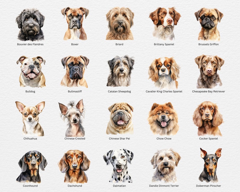 Dogs Clipart Bundle, 100 Dog Breeds, Pet Watercolor Portrait, Cute ...