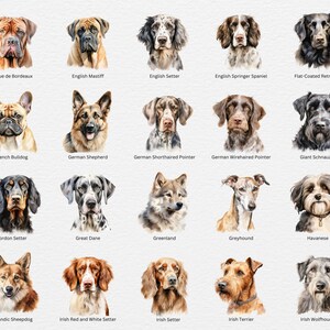 Dogs Clipart Bundle, 100 Dog Breeds, Pet Watercolor Portrait, Cute ...